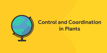 Control and Coordination in Plants - Types of Movements - Entri Blog