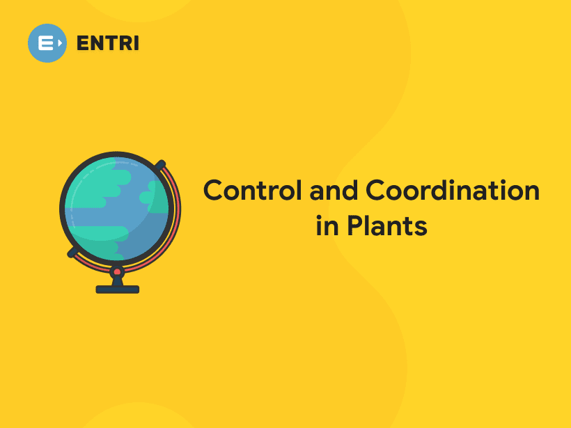 Control and Coordination in Plants - Types of Movements - Entri Blog