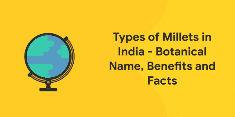 Types of Millets in India 2021 – Botanical Name, Benefits – Entri Blog