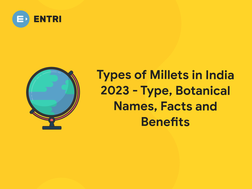 Types of Millets in India 2021 - Botanical Name, Benefits and Facts ...