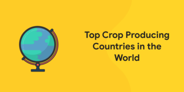 Top Crop Producing Countries in the World 2021 - Entri