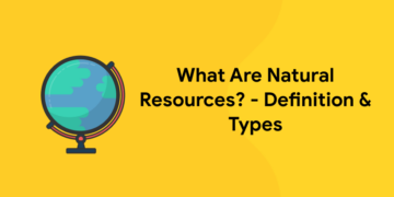 What Are Natural Resources? - Definition & Types - Entri Blog