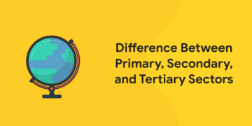 Difference Between Primary, Secondary, and Tertiary Sectors - Entri Blog