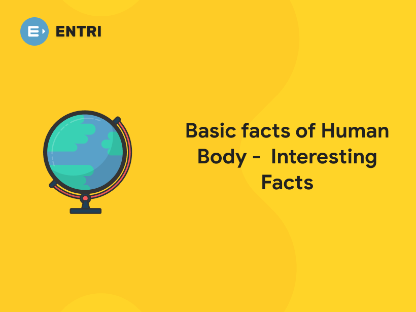 Basic facts of Human Body - Interesting Facts - Entri Blog