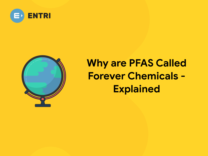 Why Are PFAS Called Forever Chemicals - Explained - Entri Blog