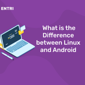 What is ON Page and OFF Page SEO - Entri Blog