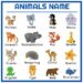 List of 50 Animals Name in English - Entri Blog