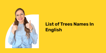 List of Trees Names in English - Entri Blog