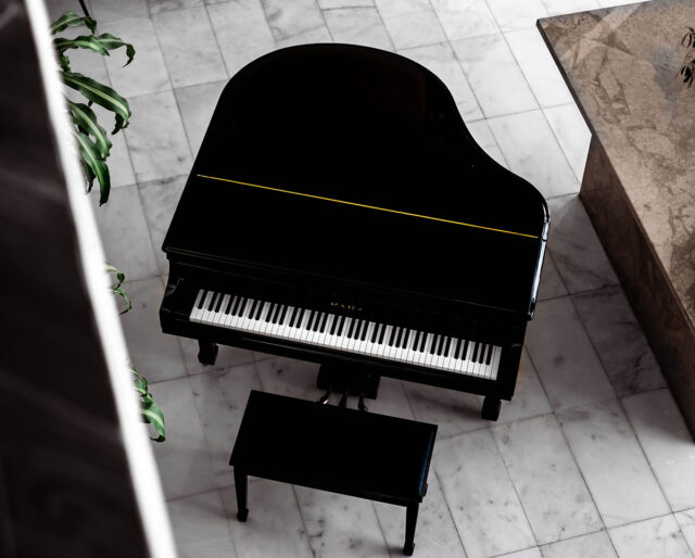 List of 40+ Musical Instruments Names in English - Entri Blog