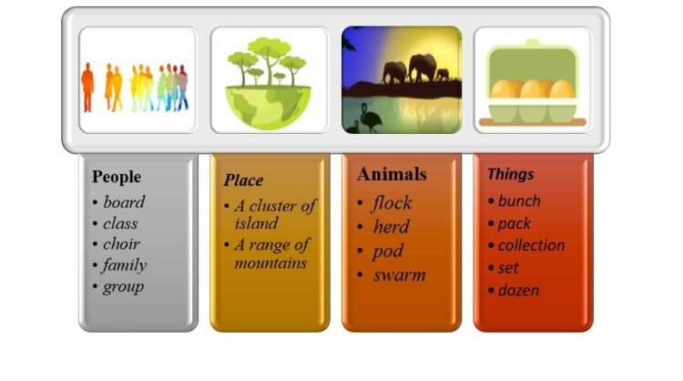What are Nouns? Definition and Examples - Entri Blog
