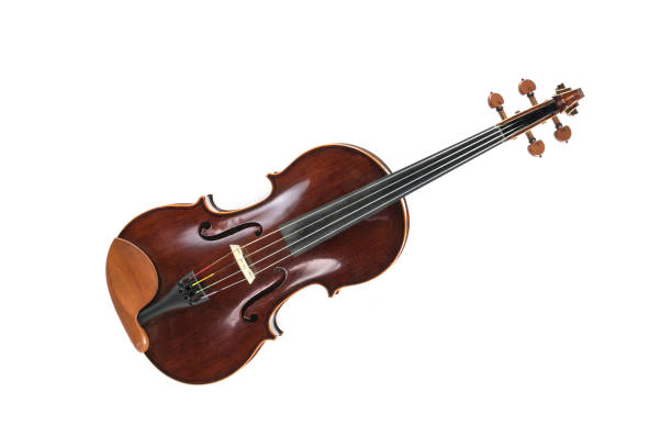 Different Types of Musical Instruments - The Knowledge Library