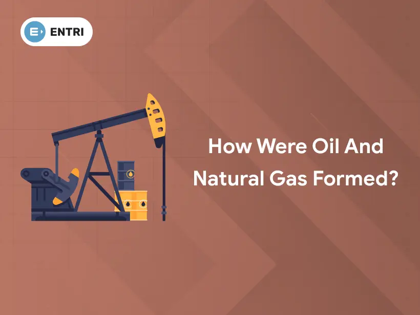 How Were Oil and Natural Gas Formed?