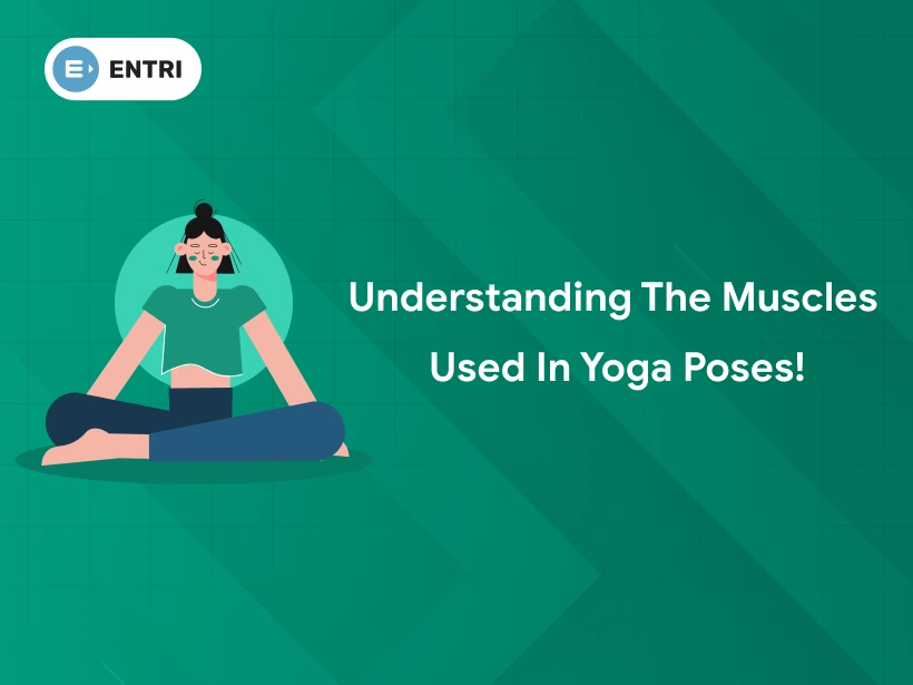 Understanding the Muscles Used in Yoga Poses!